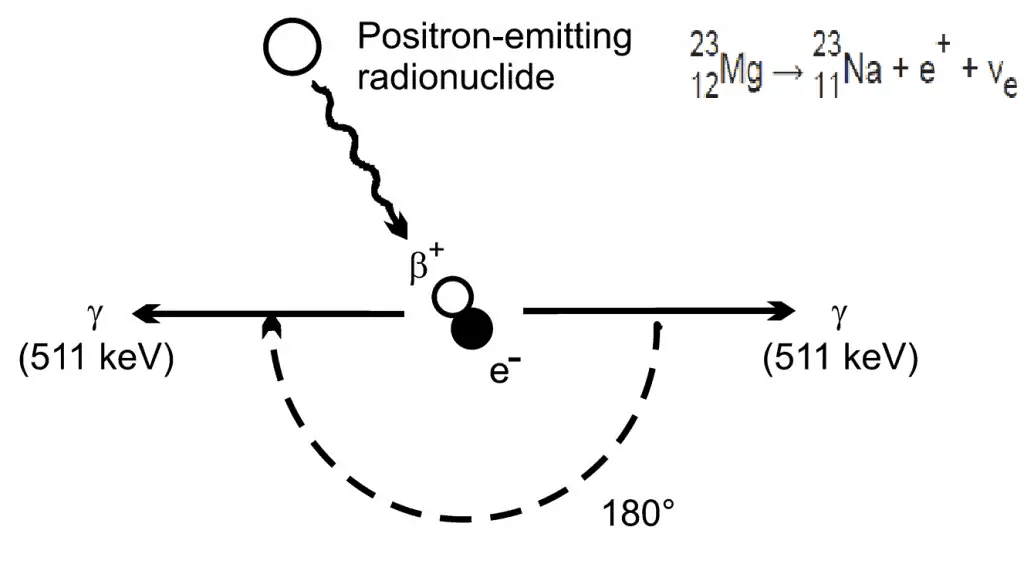 Shielding of Ionizing Radiation | Types & Uses | nuclear-power.com