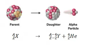 Radon Half-Life - Radon Decay | nuclear-power.com