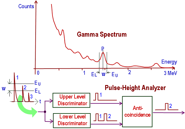 Spectroscopy Using Scintillation Counter Nuclear