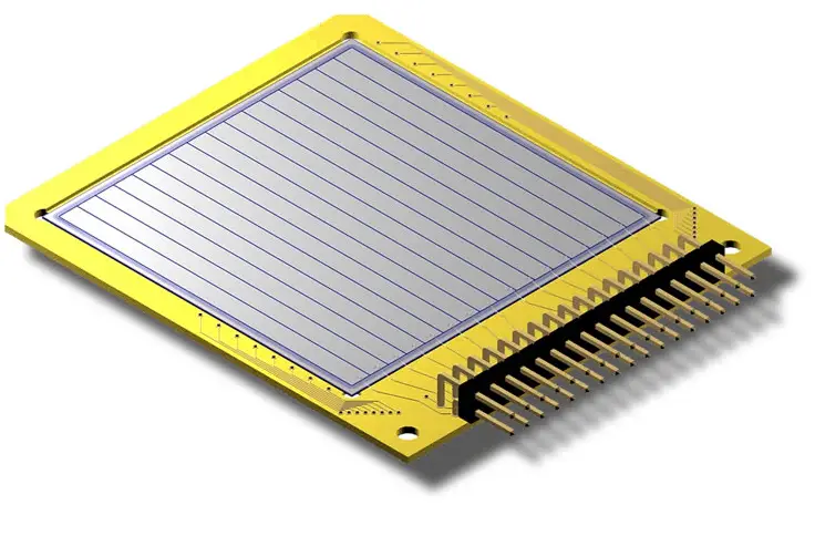 Silicon Strip Detectors Nuclear