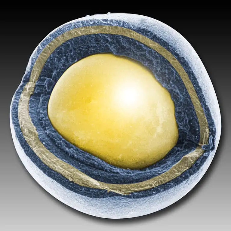 Accident Tolerant Fuel | Types & Advantages | nuclear-power.com