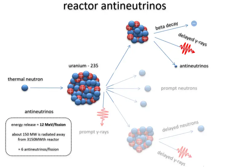 Antineutrino | Definition & Characteristics | nuclear-power.com